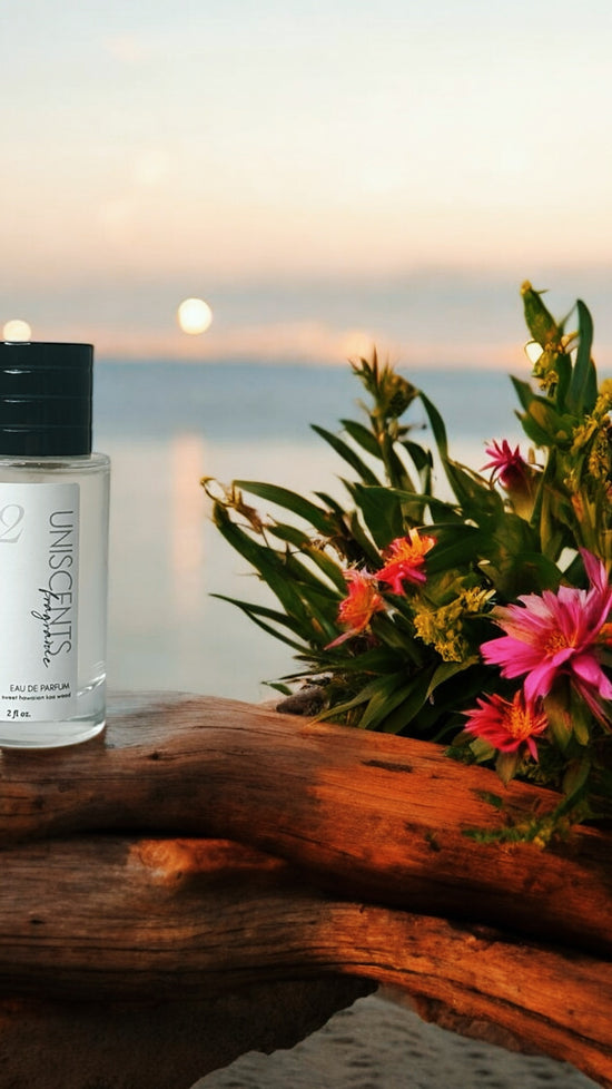 Discover Moonlit Magic:Handcrafted Fragrances by Moon Water Apothecary