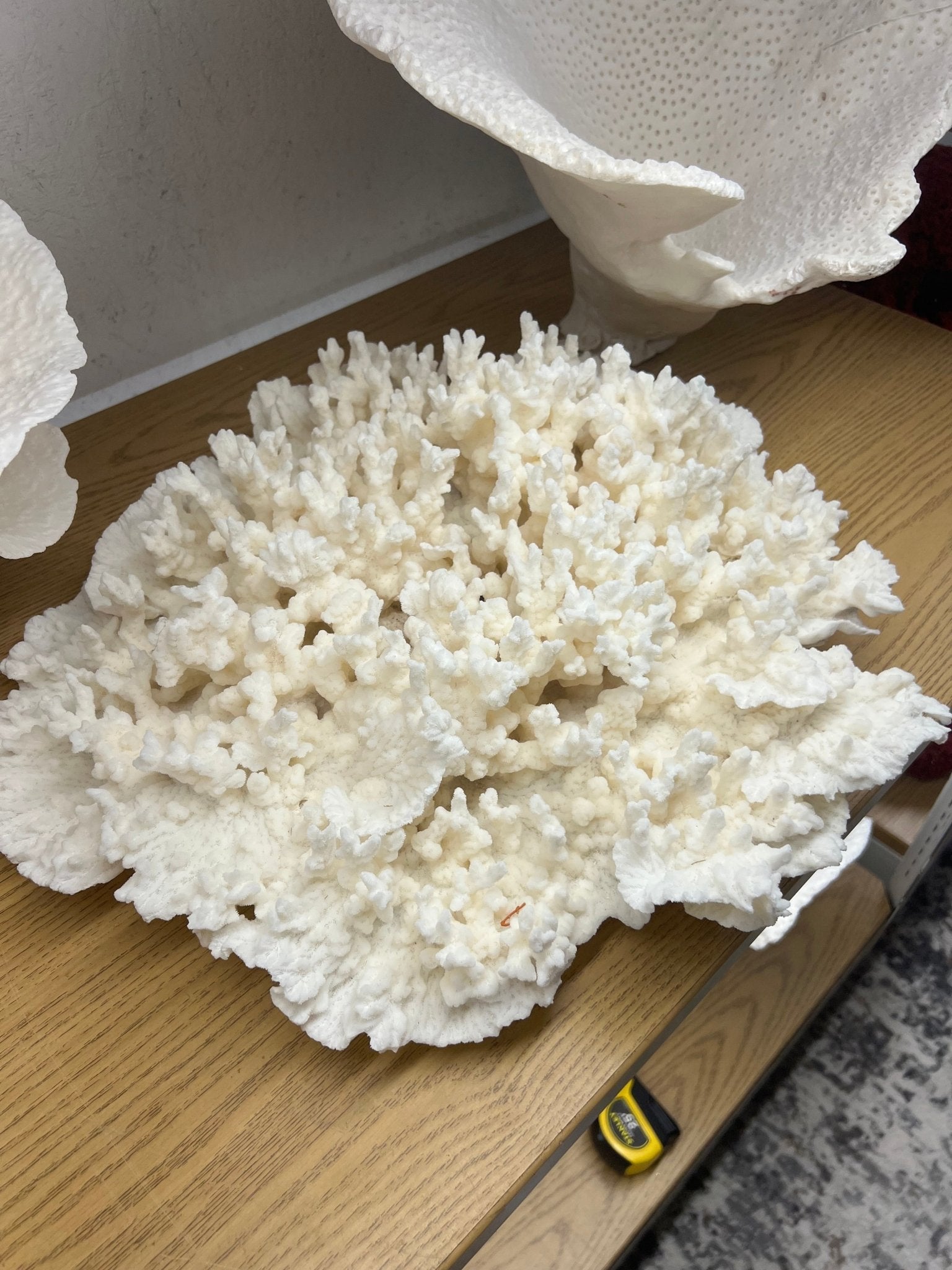 Vintage Merulina Coral- 20" – Moon Water Apothecary
